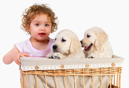 Copilul de 2 ani - Cele mai importante repere in dezvoltare - Clubul Bebelusilor